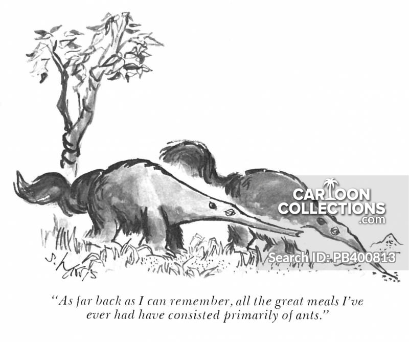 Stating The Obvious Cartoons and Comics - funny pictures from CartoonStock