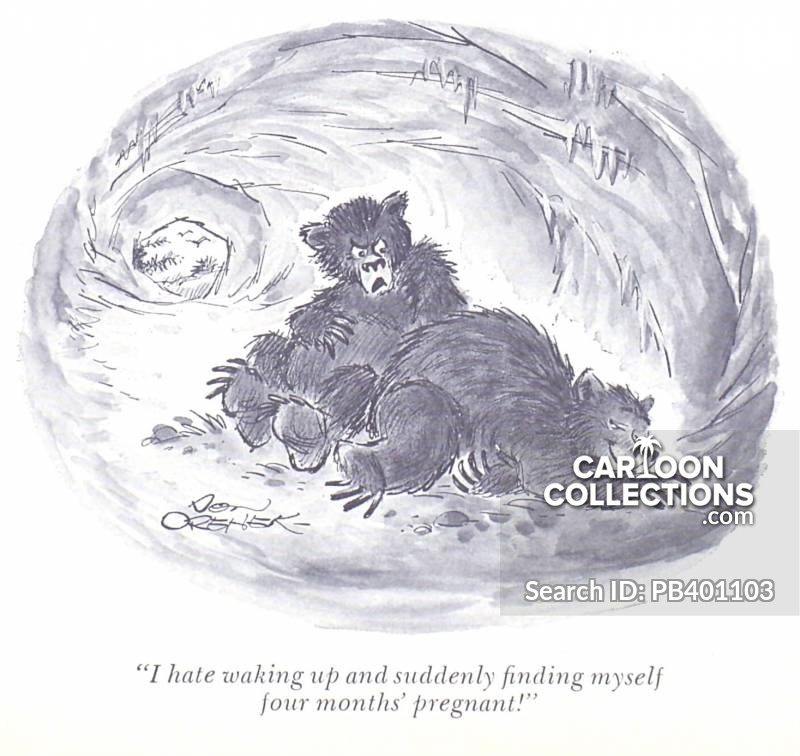 Hibernate Funny Quotes