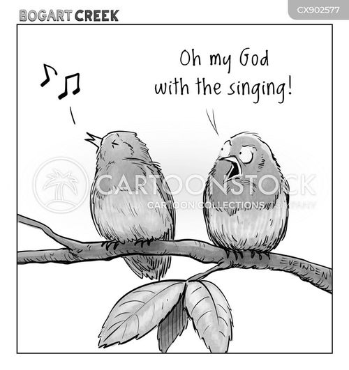 Bird Songs Cartoons and Comics - funny pictures from CartoonStock