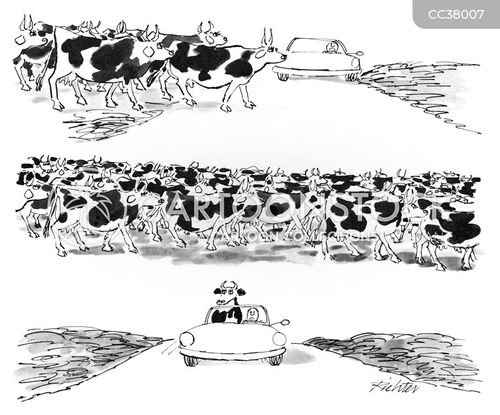Cow Cartoons and Comics - funny pictures from CartoonStock