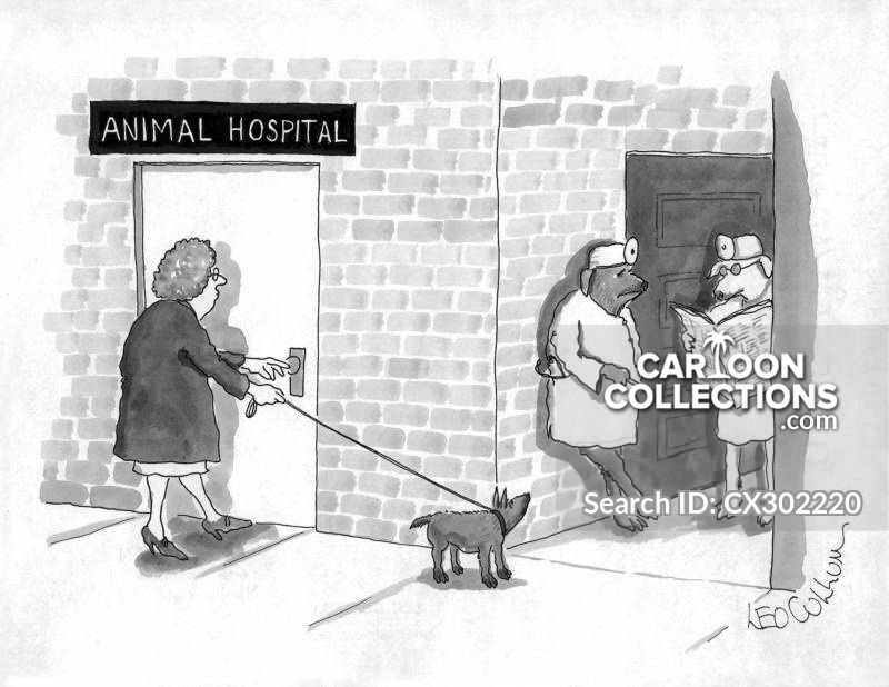 General Practitioner Cartoons and Comics - funny pictures from CartoonStock