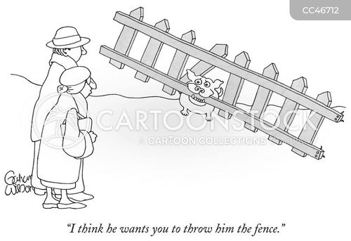 Canine Agility Cartoons and Comics - funny pictures from CartoonStock