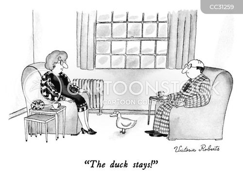 Duck Couple Cartoons and Comics - funny pictures from CartoonStock