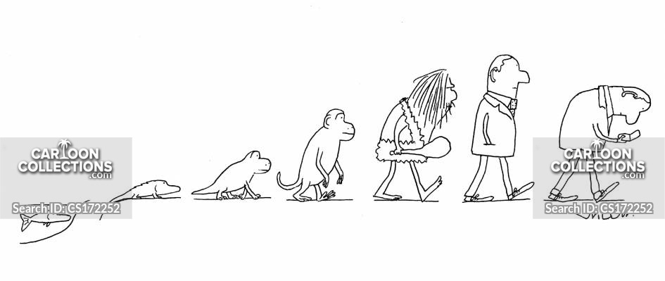 Evolutionary Theories Cartoons