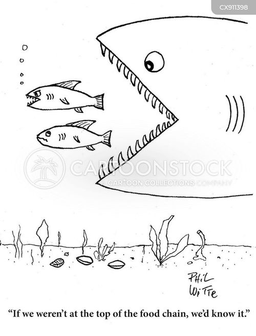 Predatory Cartoons and Comics - funny pictures from CartoonStock