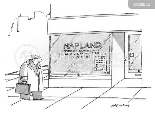 Display Window Cartoons