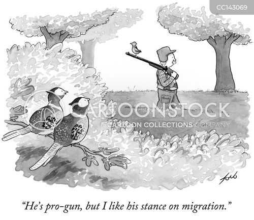 Migration Cartoons