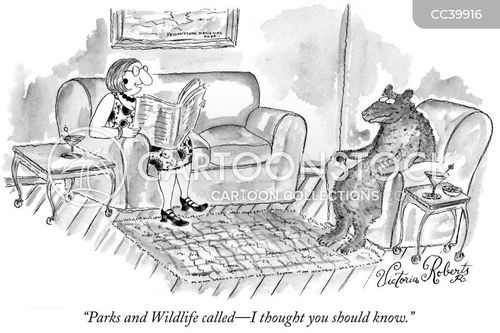 Park Service Cartoons and Comics - funny pictures from CartoonStock