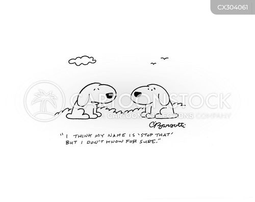 Command Cartoons and Comics - funny pictures from CartoonStock