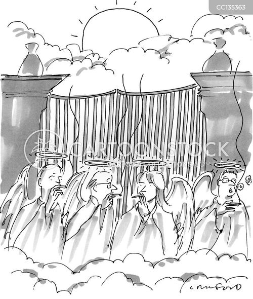 Saint Peter Gates Of Heaven
