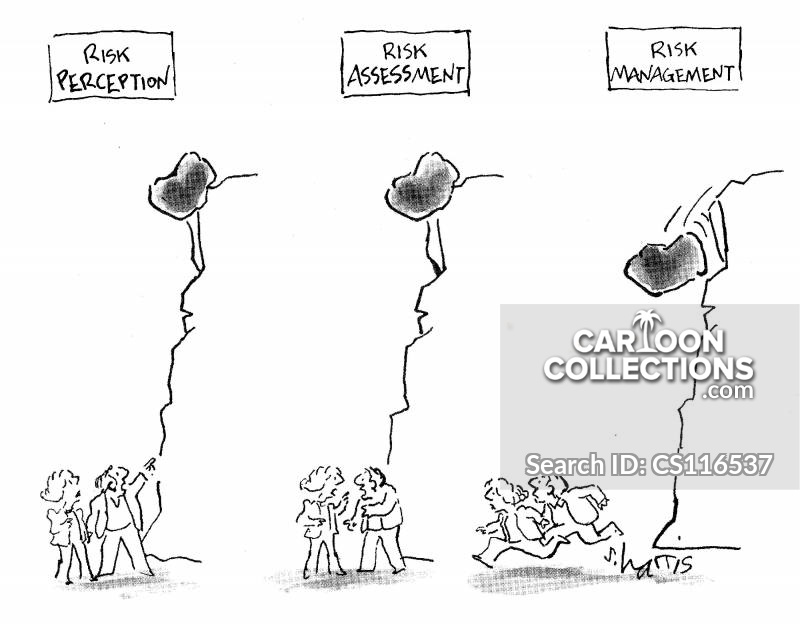 Risk Perception Cartoons