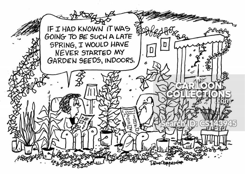 Spring-time Cartoons