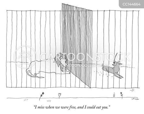 Animal Captivity Cartoons and Comics - funny pictures from CartoonStock